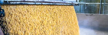 Propylene Glycols | Dow Inc.