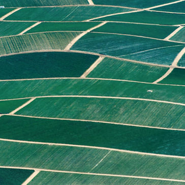 NUCREL™ - Acid Copolymers | Dow Inc.