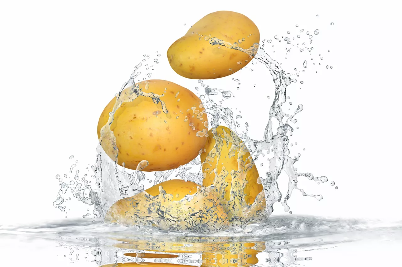 Food and Beverage Processing | Dow Inc.